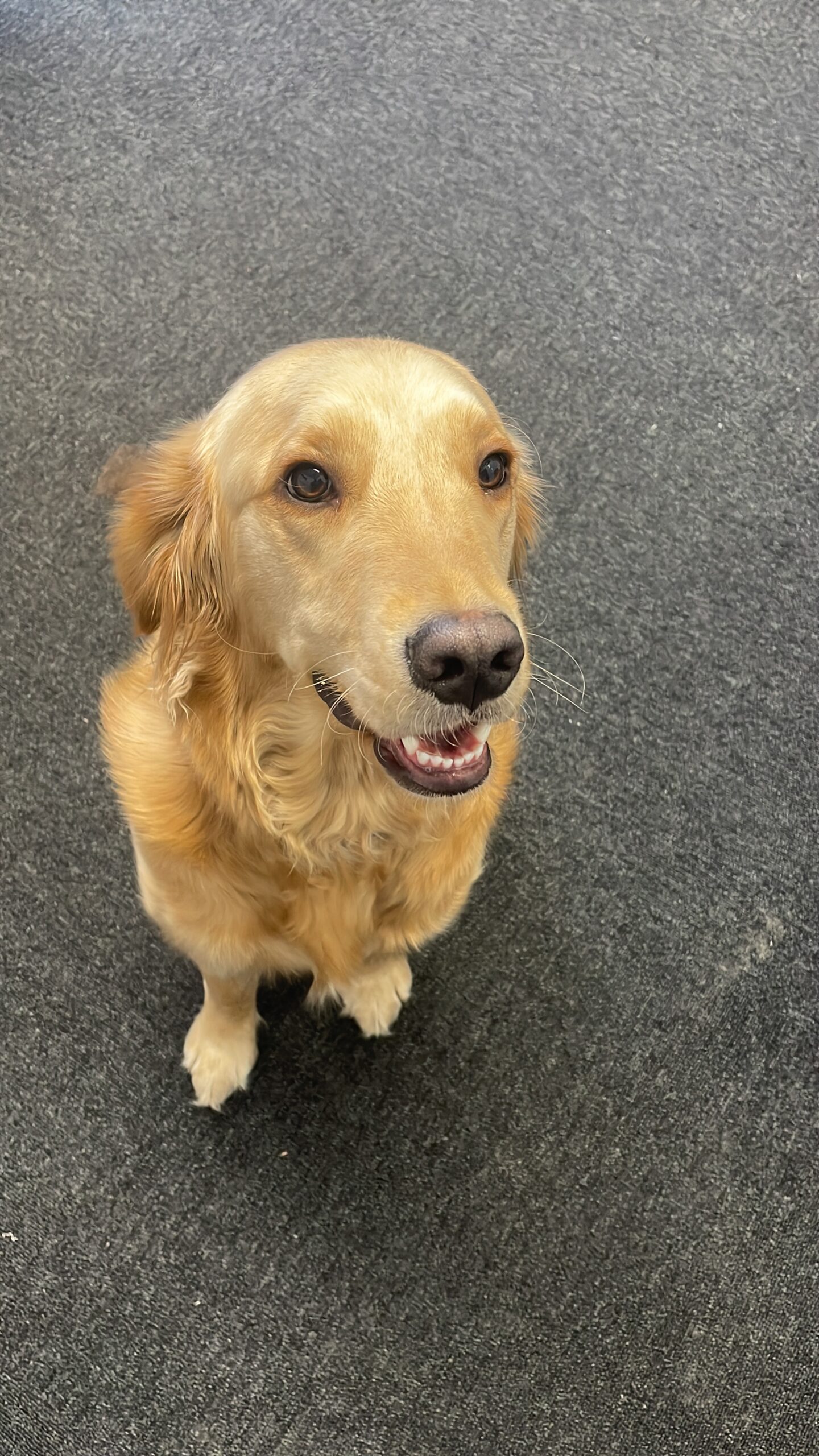 Ox - Window Supply - Installation - Utah